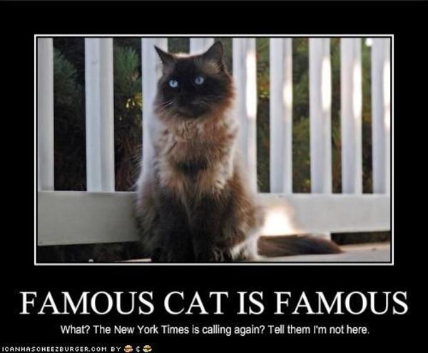 [Image - 25929] | X Y is X (Redundant Adjectives are Redundant) | Know ...