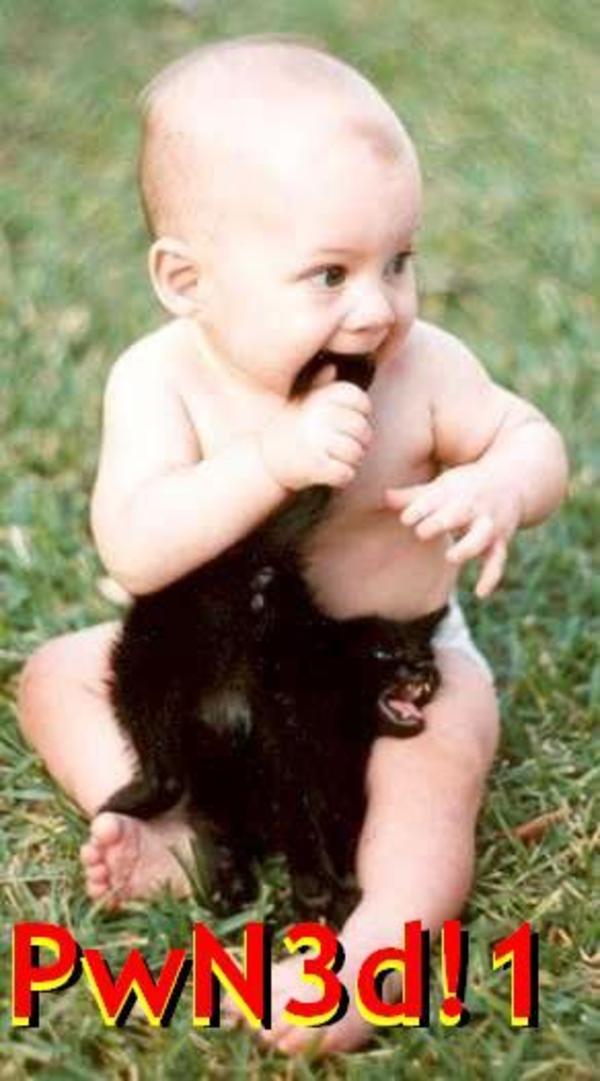 [Image - 26451] | OWNED (PWNED) | Know Your Meme