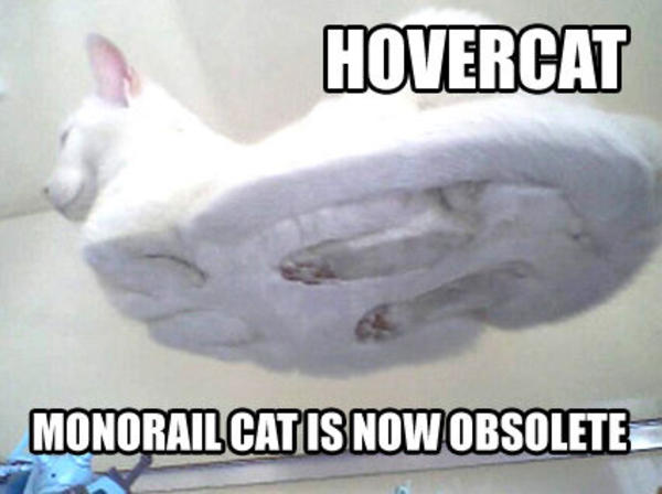 [Image - 26548] | Monorail Cat | Know Your Meme