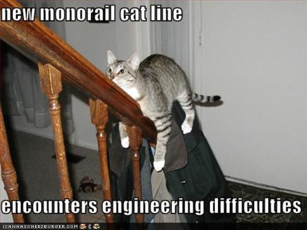 [Image - 26568] | Monorail Cat | Know Your Meme