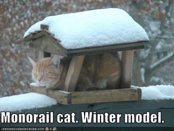 [Image - 26569] | Monorail Cat | Know Your Meme