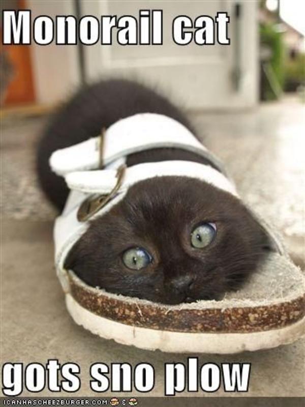 [Image - 26572] | Monorail Cat | Know Your Meme