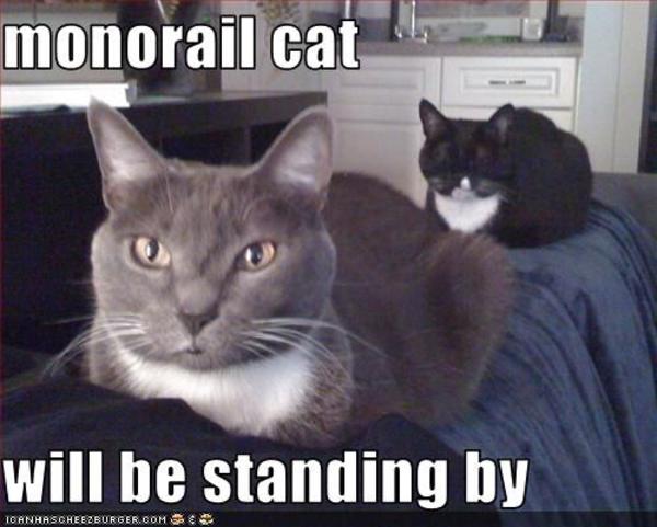 [Image - 26578] | Monorail Cat | Know Your Meme