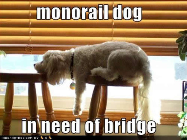 [Image - 26595] | Monorail Cat | Know Your Meme