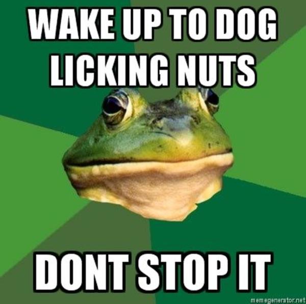 [Image - 26752] | Foul Bachelor Frog | Know Your Meme