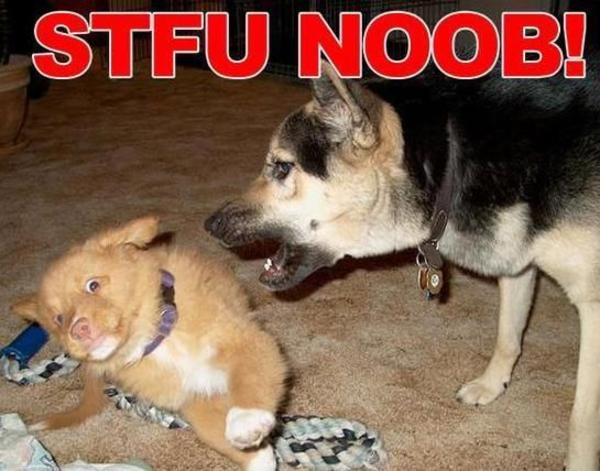 [Image - 26782] | Noob | Know Your Meme