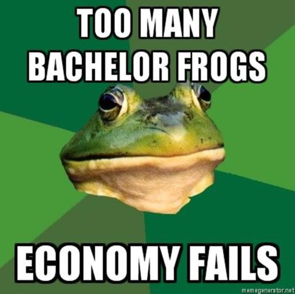 [Image - 27438] | Foul Bachelor Frog | Know Your Meme