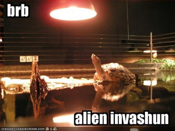 [Image - 27448] | BRB | Know Your Meme