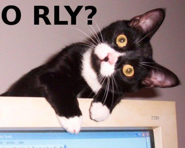 [Image - 27514] | O RLY? | Know Your Meme