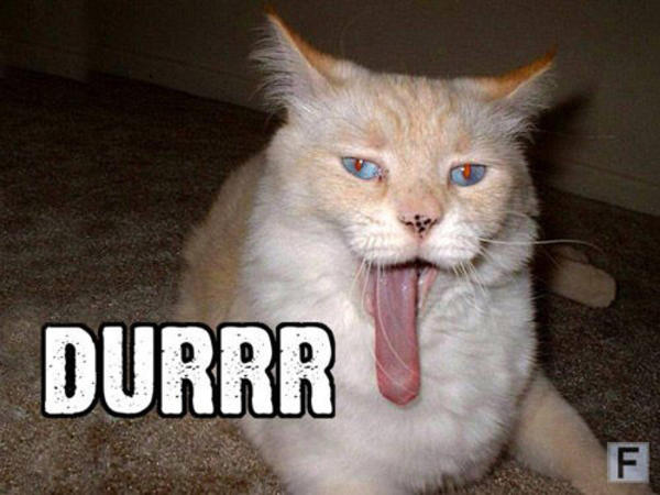 [Image - 27521] | Derp | Know Your Meme