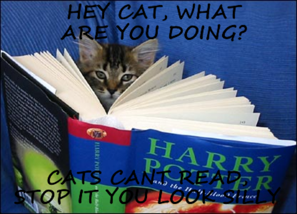 [Image - 27655] | Buzzkilling | Know Your Meme