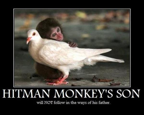 [Image - 27896] | Hitman Monkey | Know Your Meme