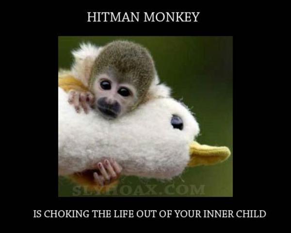 [Image - 27897] | Hitman Monkey | Know Your Meme