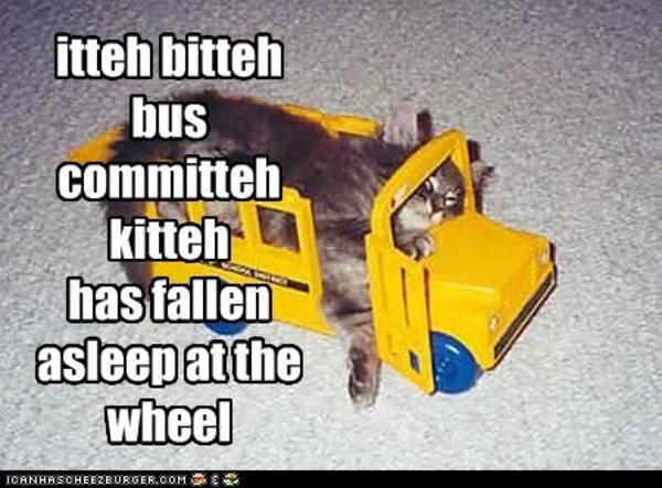 [Image - 27964] | Itteh Bitteh Kitteh Committeh | Know Your Meme