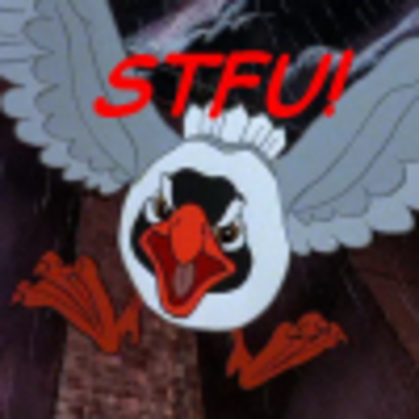 [Image - 28831] | STFU | Know Your Meme