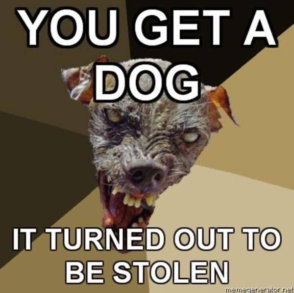 [Image - 29239] | Cynical Dog | Know Your Meme