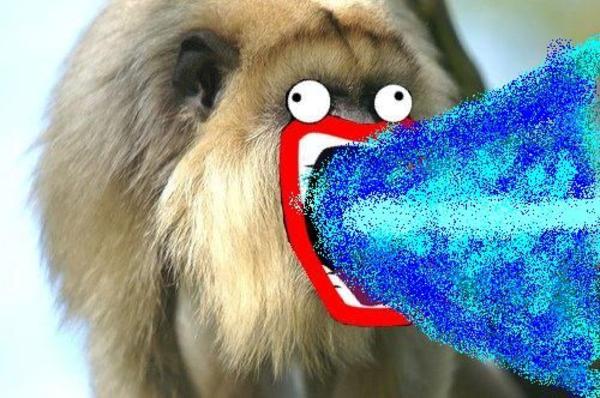 [Image - 29322] | Shoop Da Whoop | Know Your Meme