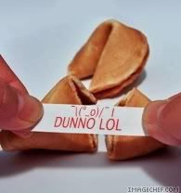 [Image - 29520] | I Dunno LOL ¯\(°_o)/¯ | Know Your Meme