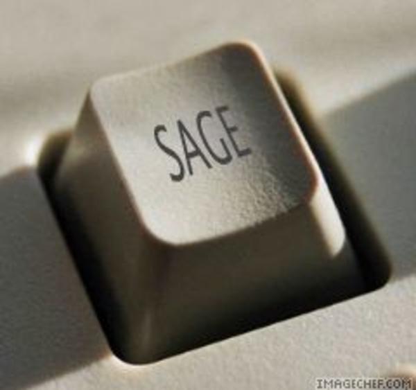 [Image - 29534] | Sage | Know Your Meme