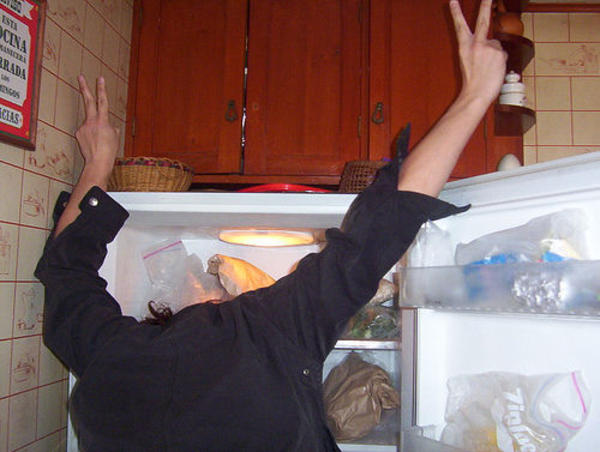 [Image - 29878] | 241543903 / Heads In Freezers | Know Your Meme
