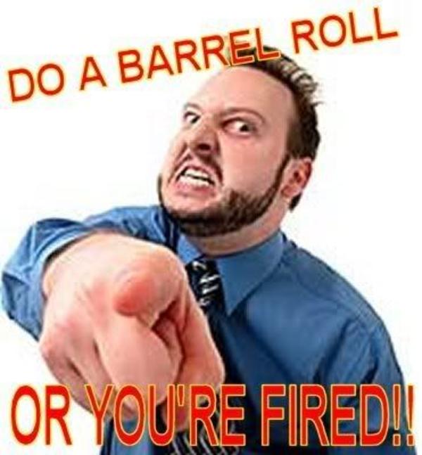 [Image - 30440] | Do a Barrel Roll | Know Your Meme