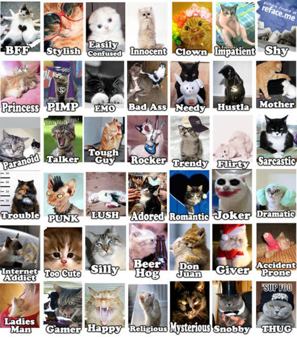 [Image - 30527] | Facebook Tagging Game | Know Your Meme