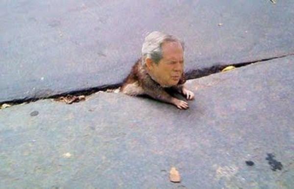 [Image - 30755] | Sad Rat | Know Your Meme