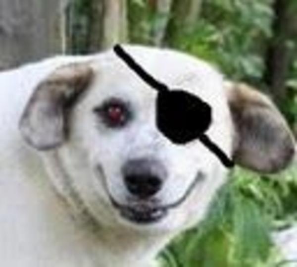 [Image - 32630] | Dogola | Know Your Meme