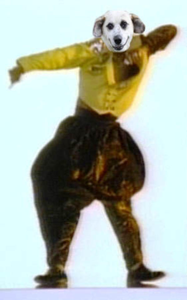 [Image - 32631] | Dogola | Know Your Meme