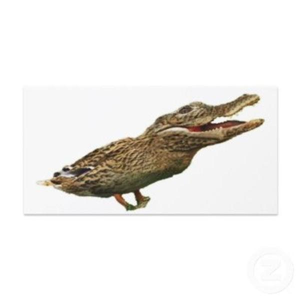 [Image - 32702] | Crocoduck | Know Your Meme