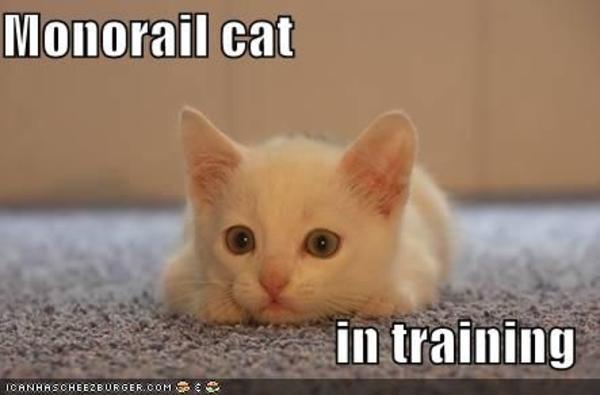 [Image - 32906] | Monorail Cat | Know Your Meme