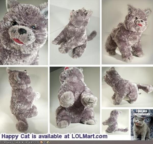 [Image - 34350] | Happy Cat | Know Your Meme