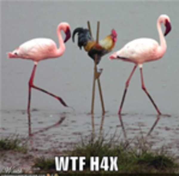 [Image - 34420] | WTF H4X | Know Your Meme