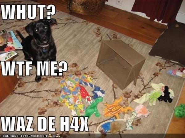 [Image - 34430] | WTF H4X | Know Your Meme