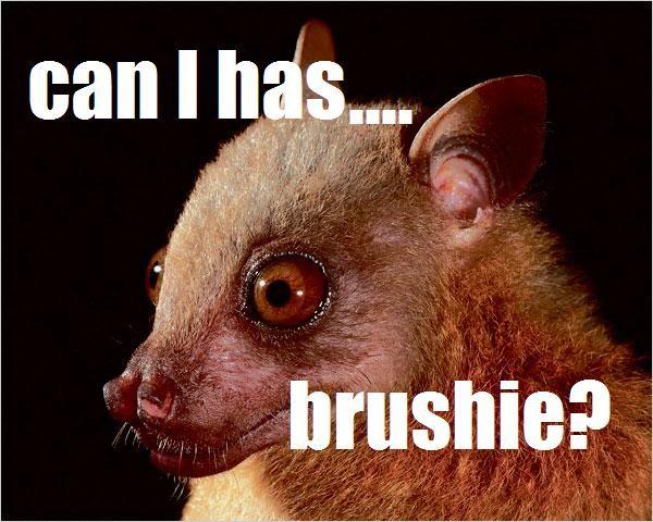 [Image - 35459] | Brushie Brushie Brushie | Know Your Meme