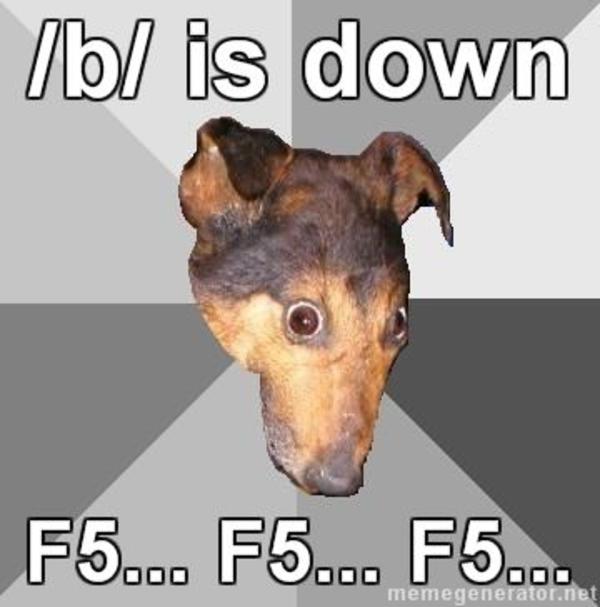 [Image - 35561] | F5 | Know Your Meme