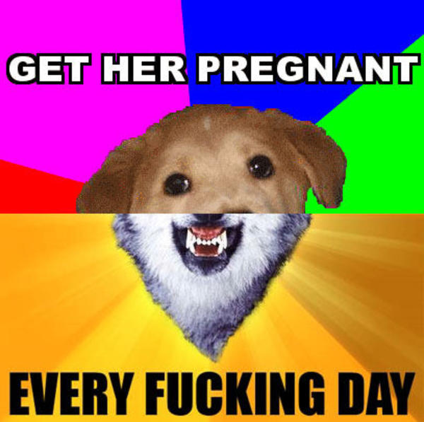 [Image - 36959] | Combo Dog | Know Your Meme