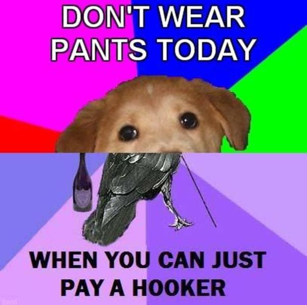 [Image - 36974] | Combo Dog | Know Your Meme