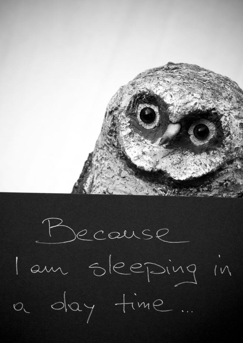 [Image - 37387] | WDYDWYD? (Why Do You Do What You Do?) | Know Your Meme