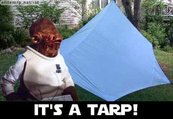 [Image - 37411] | It's A Trap! | Know Your Meme