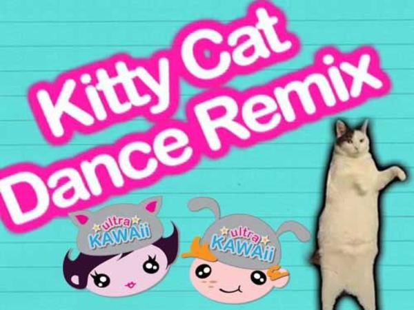 [Image - 37433] | Kitty Cat Dance | Know Your Meme