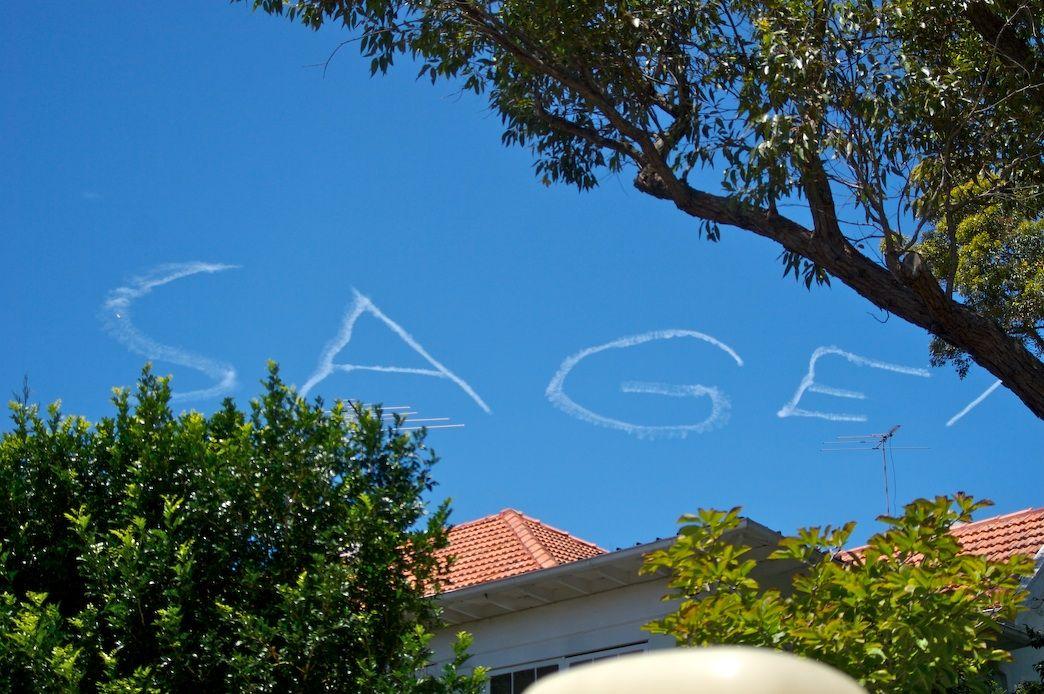 [Image - 38453] | Sage | Know Your Meme