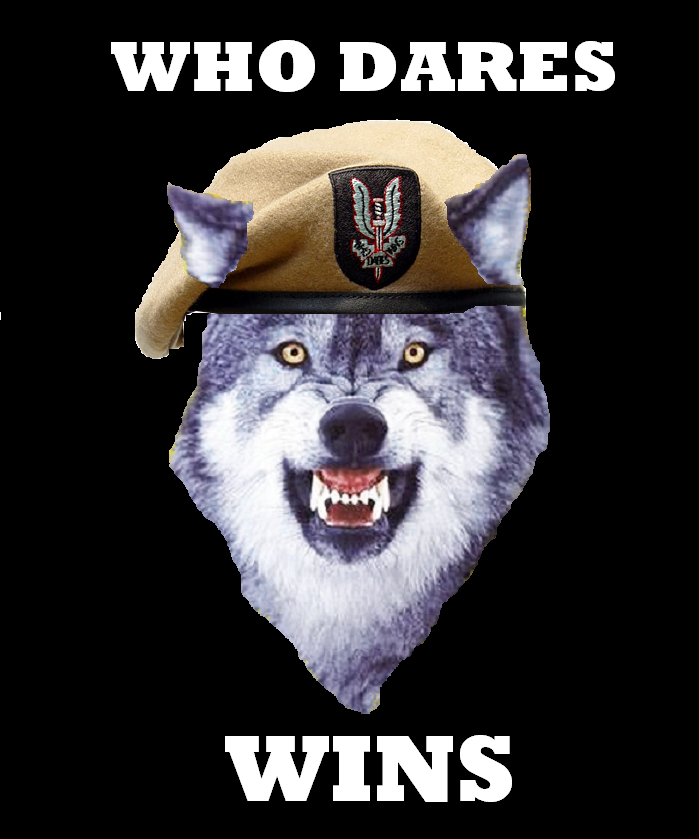 [Image - 39309] | Courage Wolf | Know Your Meme