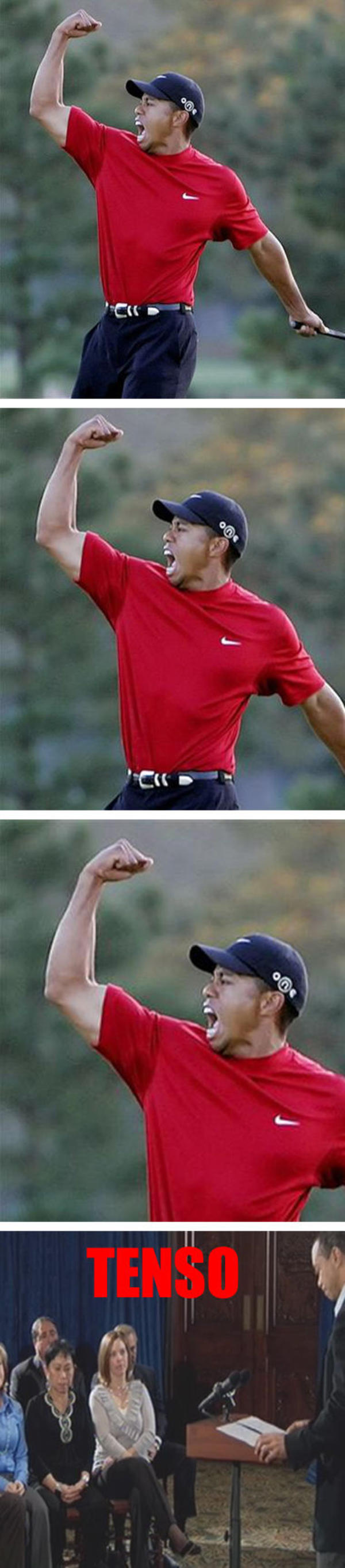 [Image - 40752] | Tenso | Know Your Meme