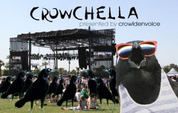 [Image - 40822] | Daily Crow | Know Your Meme