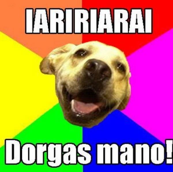 [Image - 40851] | Dorgas | Know Your Meme