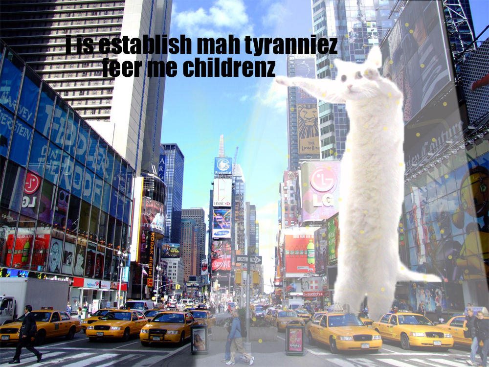 [Image - 42036] | Longcat | Know Your Meme