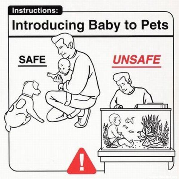 [Image - 42202] | Baby Instructions 101 | Know Your Meme