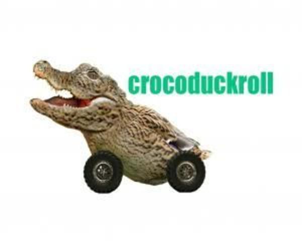 [Image - 42519] | Duckroll | Know Your Meme