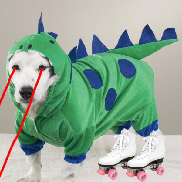 [Image - 42601] | Lazer Dog | Know Your Meme